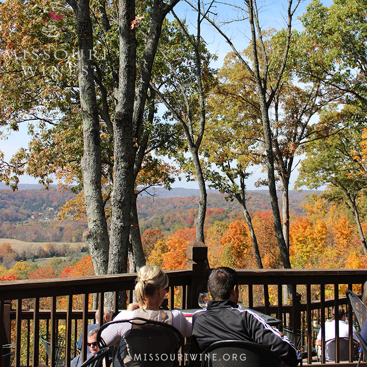 MO Wine- The Seasonal Shift | MO Wines